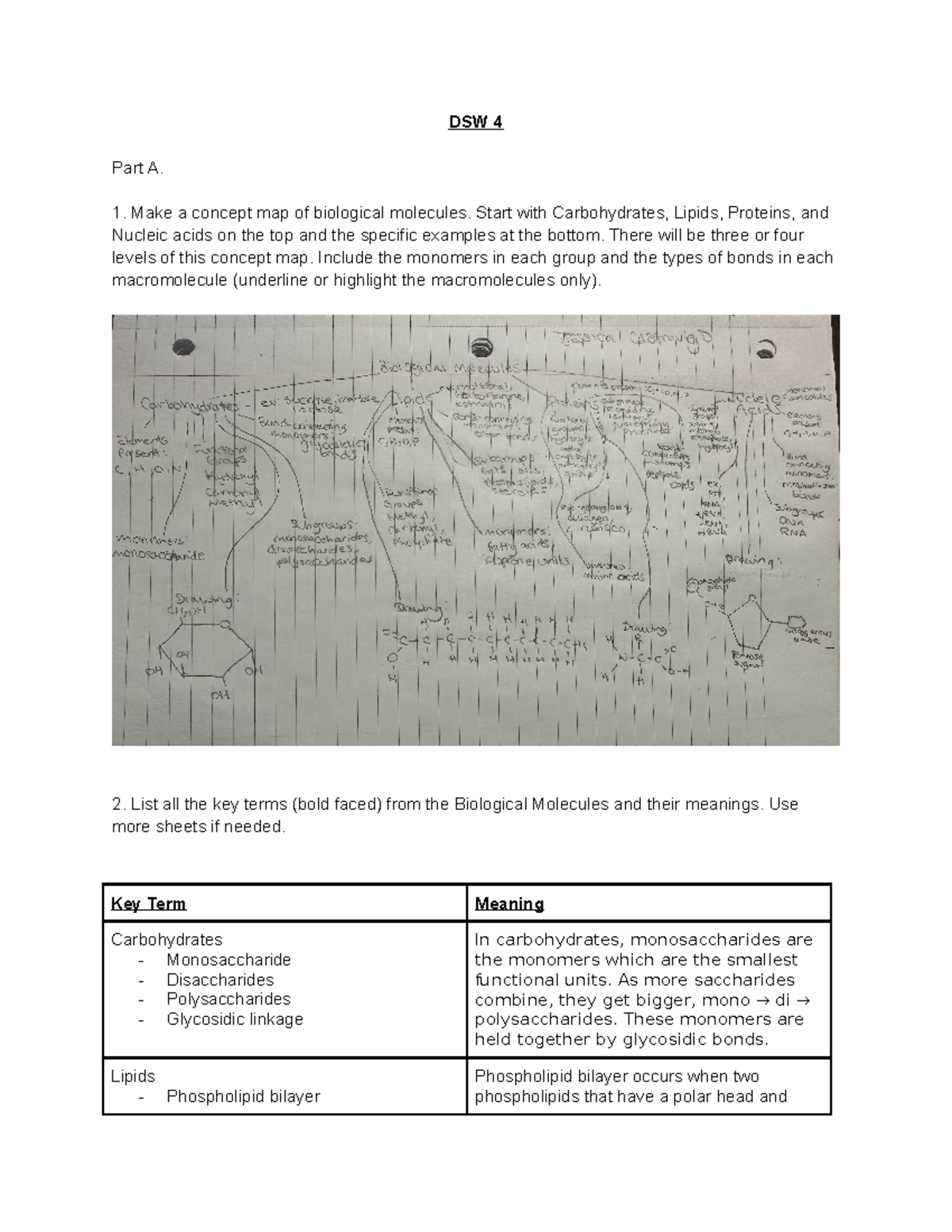 DSW 4 - Discussion worksheet 4 - DSW 4 Part A. Make a concept map of ...