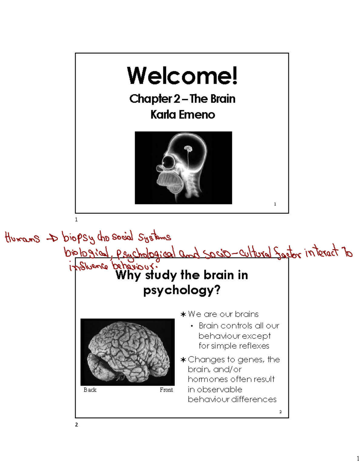 PSYC1000U - Lecture 3 - May 16 - Ch. 2 The Brain Canvas - Welcome ...
