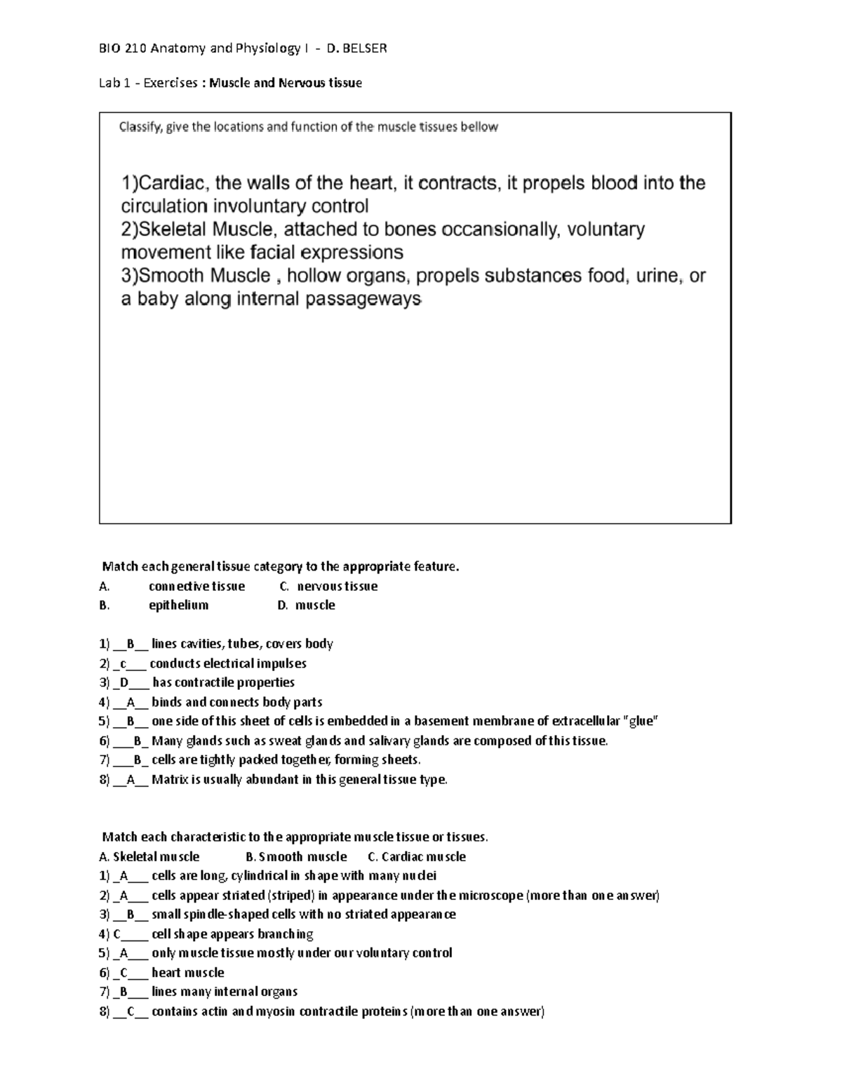 BIO 210 Lab 4 Exercise - BIO 210 Anatomy and Physiology I - D. BELSER ...