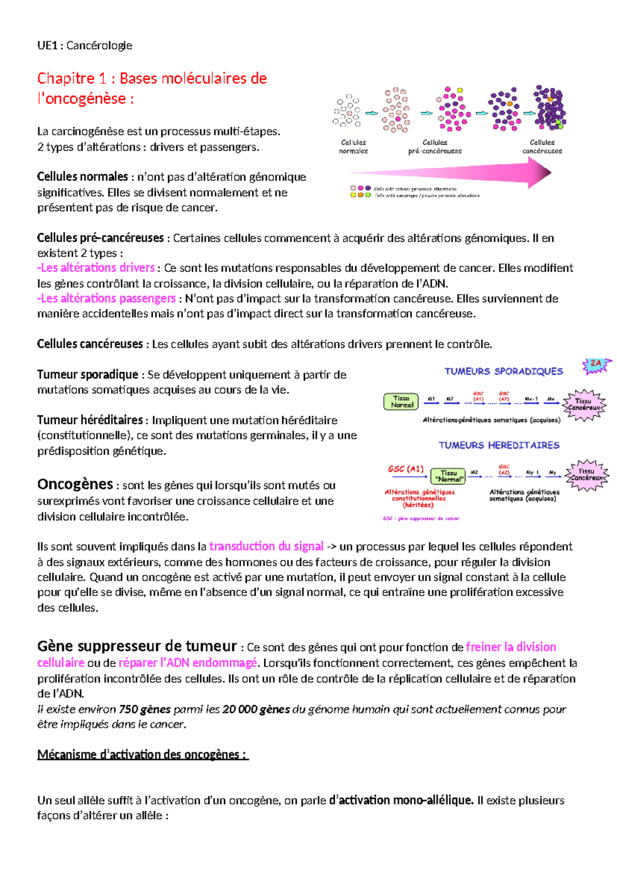 UE1 - Bases moléculaires de l'oncogénèse + prédisposition génétique ...
