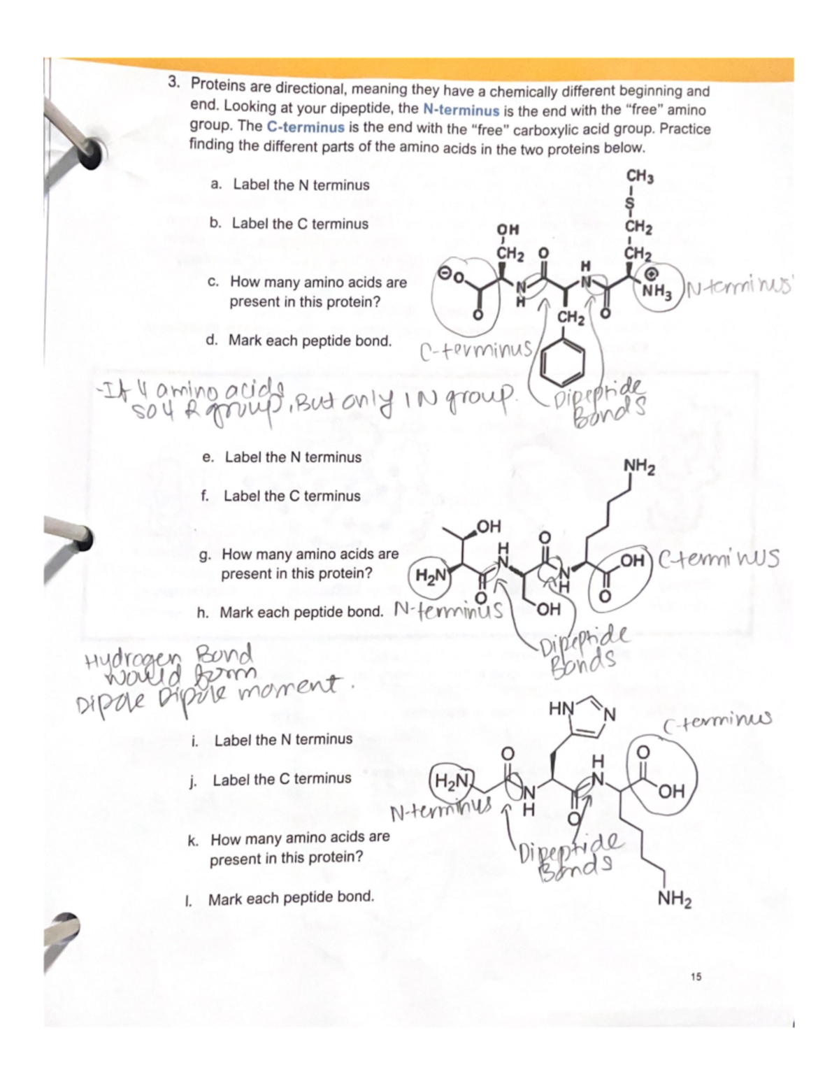 Manual - Protein Structure and Function - BIS 2A - Studocu