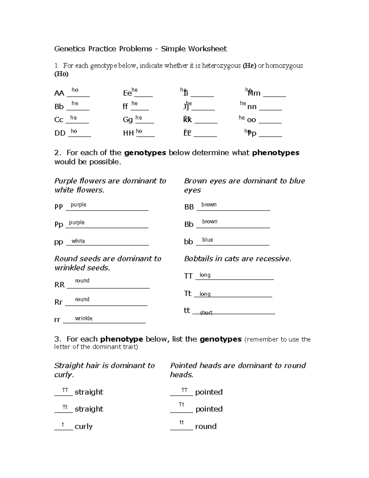 Genetics Practice Problems - Purple flowers are dominant to white ...