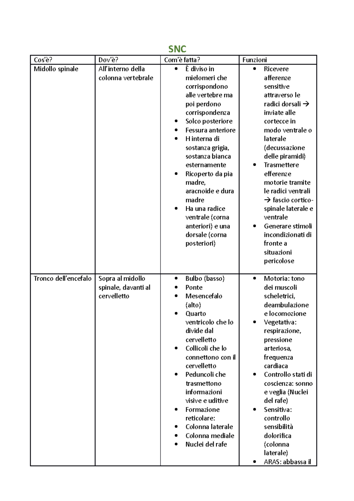 SNC - tabella sul sistema nervoso centrale - SNC Cos’è? Dov’è? Com’è fatta? Funzioni Midollo ...