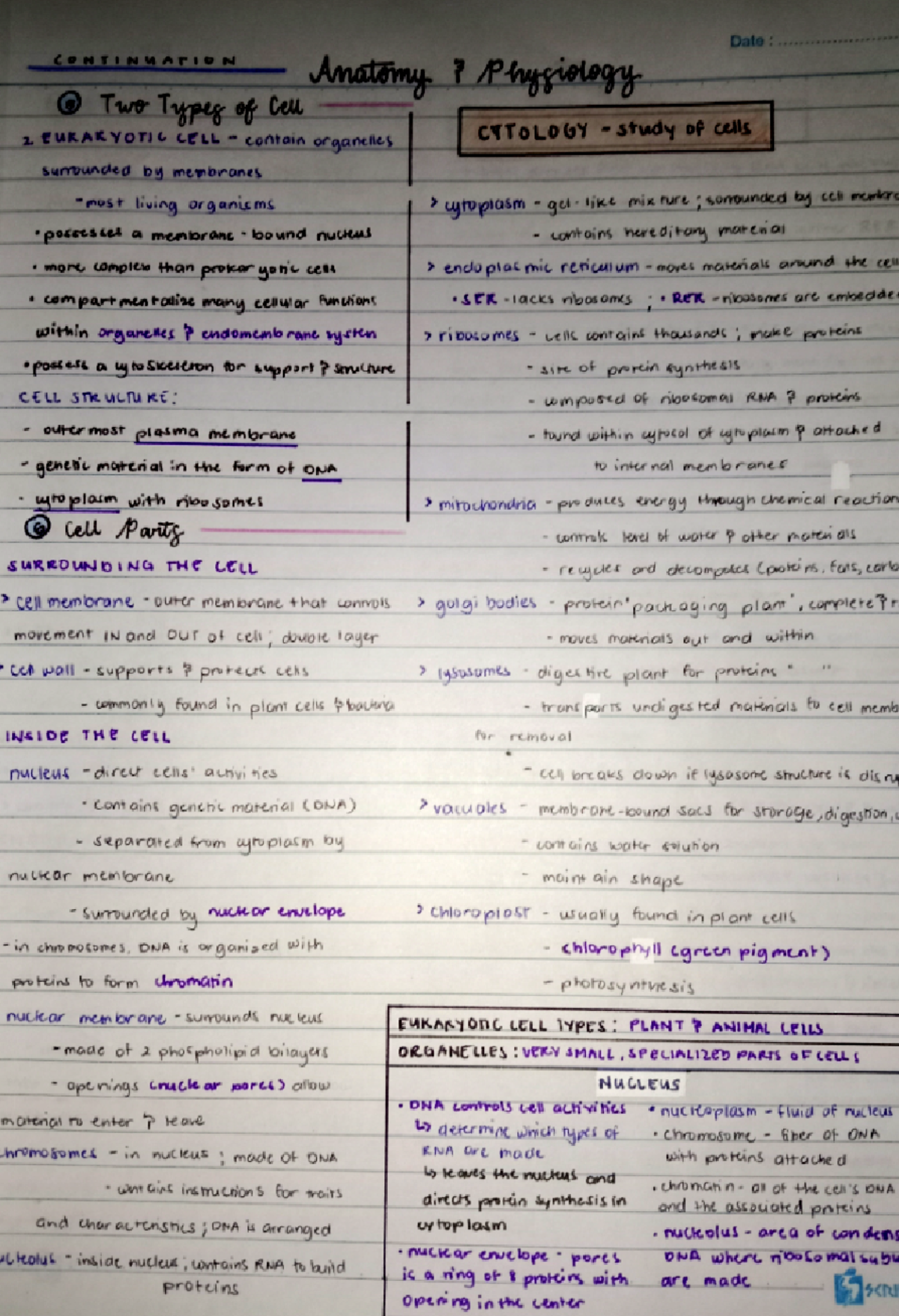 PDF2 20230918 231908 - Anatomy and Physiology - BS Nursing - Studocu