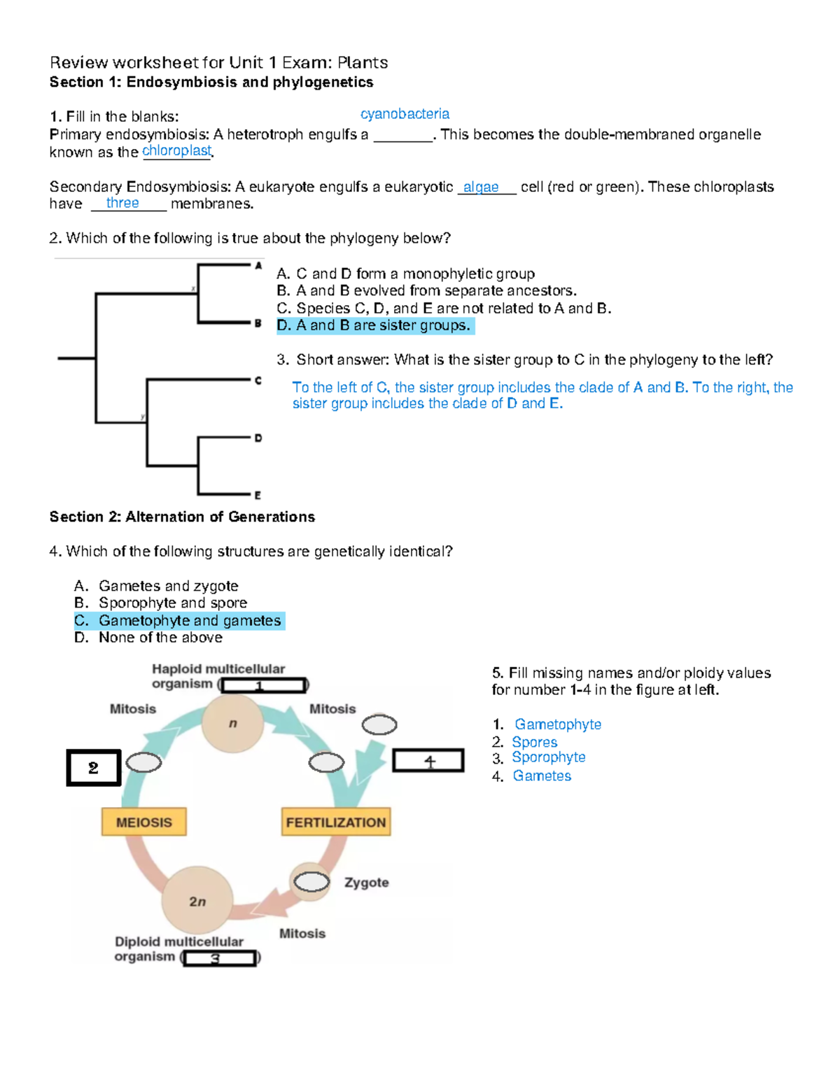 Fall 2024 Plants unit review questions - Section 1: Endosymbiosis and ...