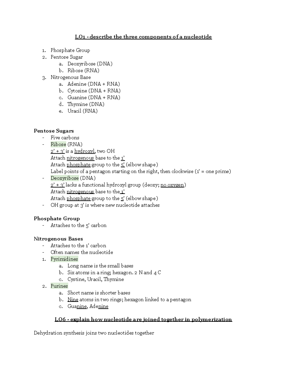 Nucleotides; Phosphates, Pentose Sugar, and Nitrogenous Base - LO1 ...