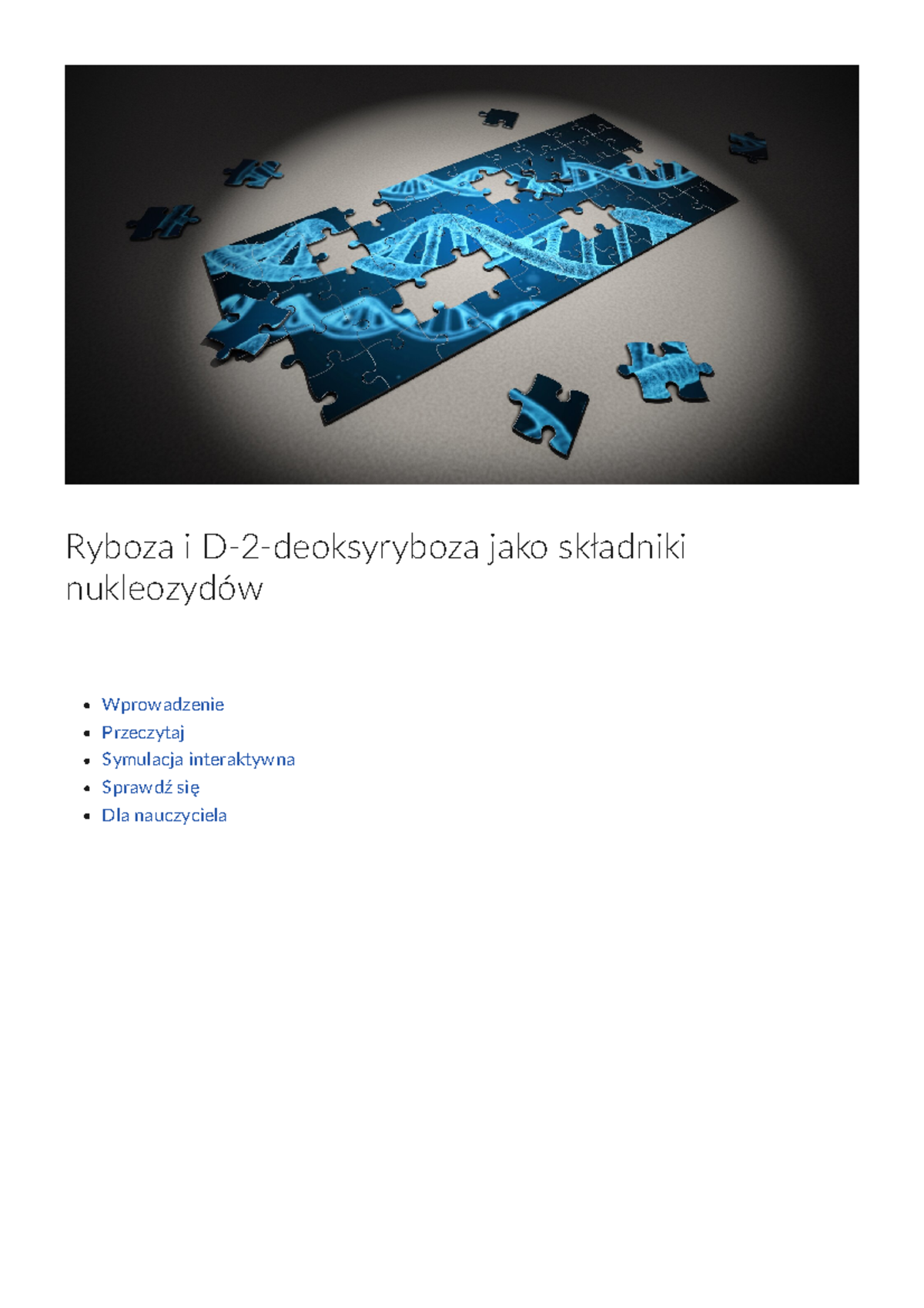 Ryboza i D2deoksyryboza jako skladniki nukleozydow - Ryboza i D-2 ...