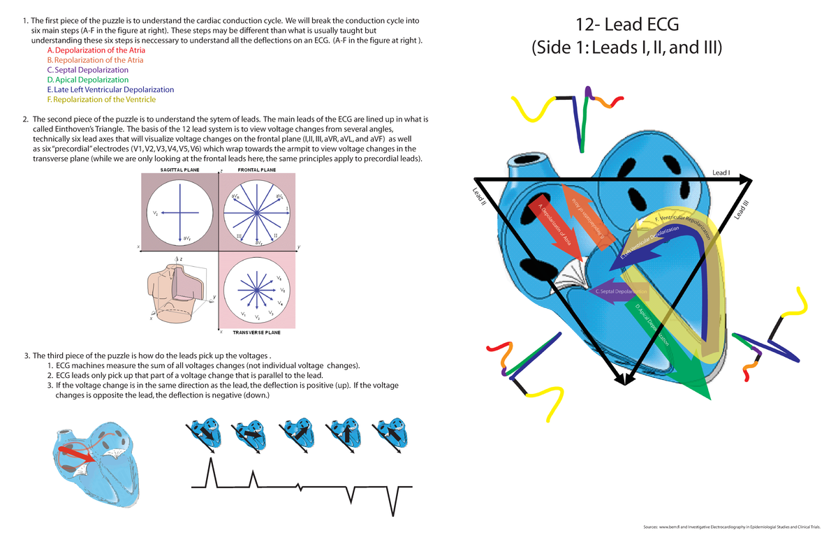 ECG - Notes - 1. The first piece of the puzzle is to understand the ...