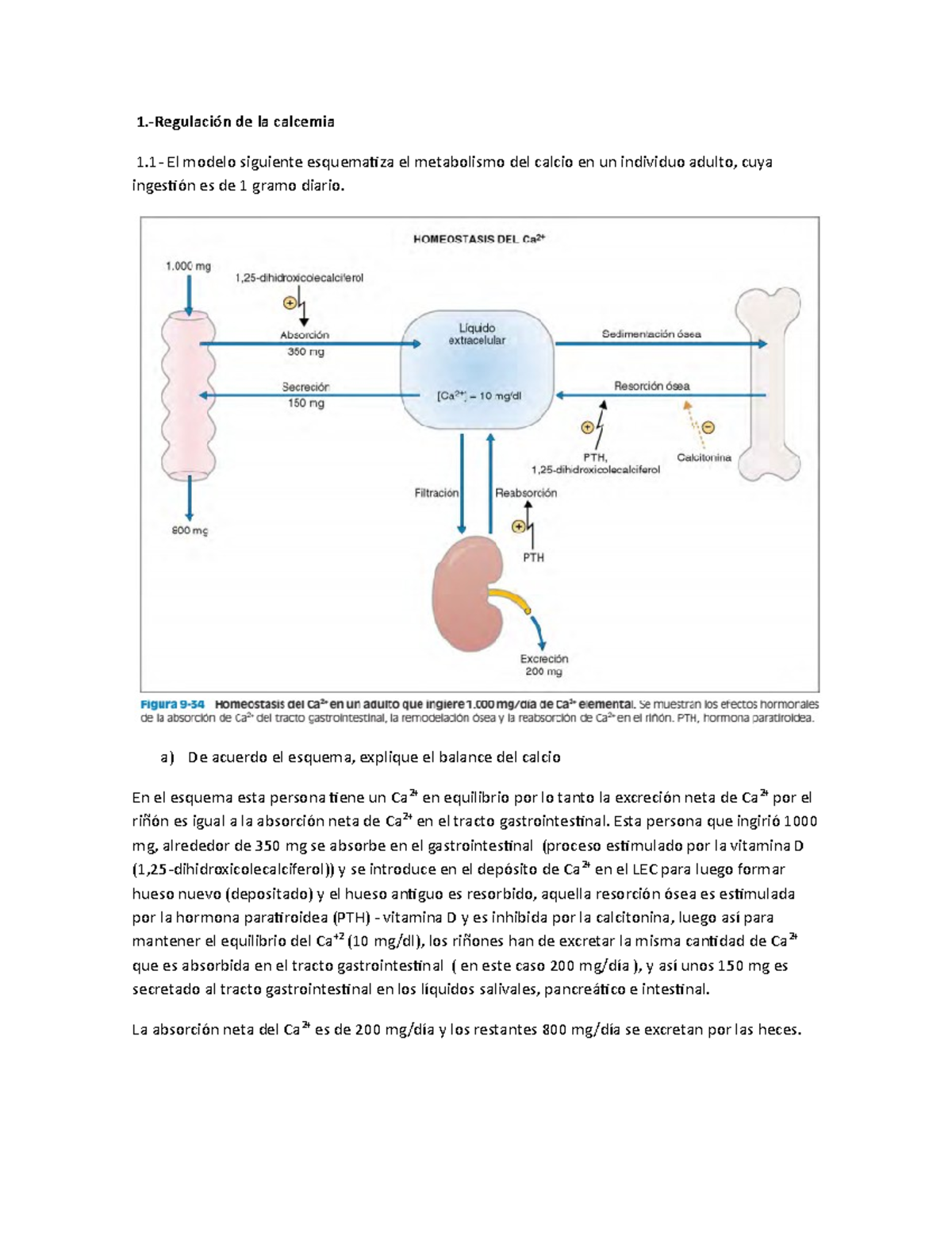 seminario endocrino II Regulación de la Calceina - 1.-Regulación de la ...