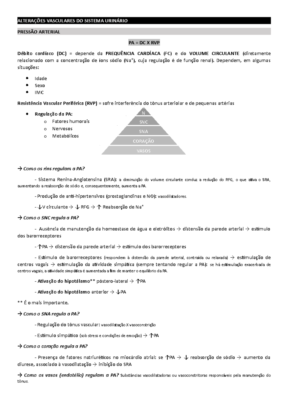 Alterações Vasculares DO Sistema Urinário - ALTERAÇÕES VASCULARES DO ...