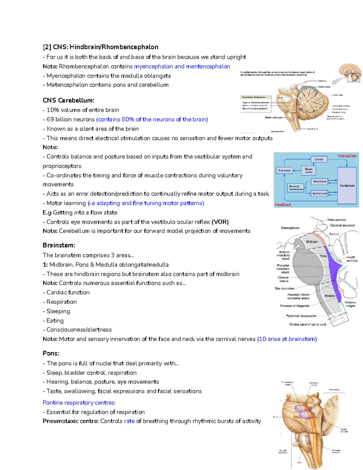 Week 1 Nervous System Overview II - [2] CNS: Hindbrain/Rhombencephalon ...