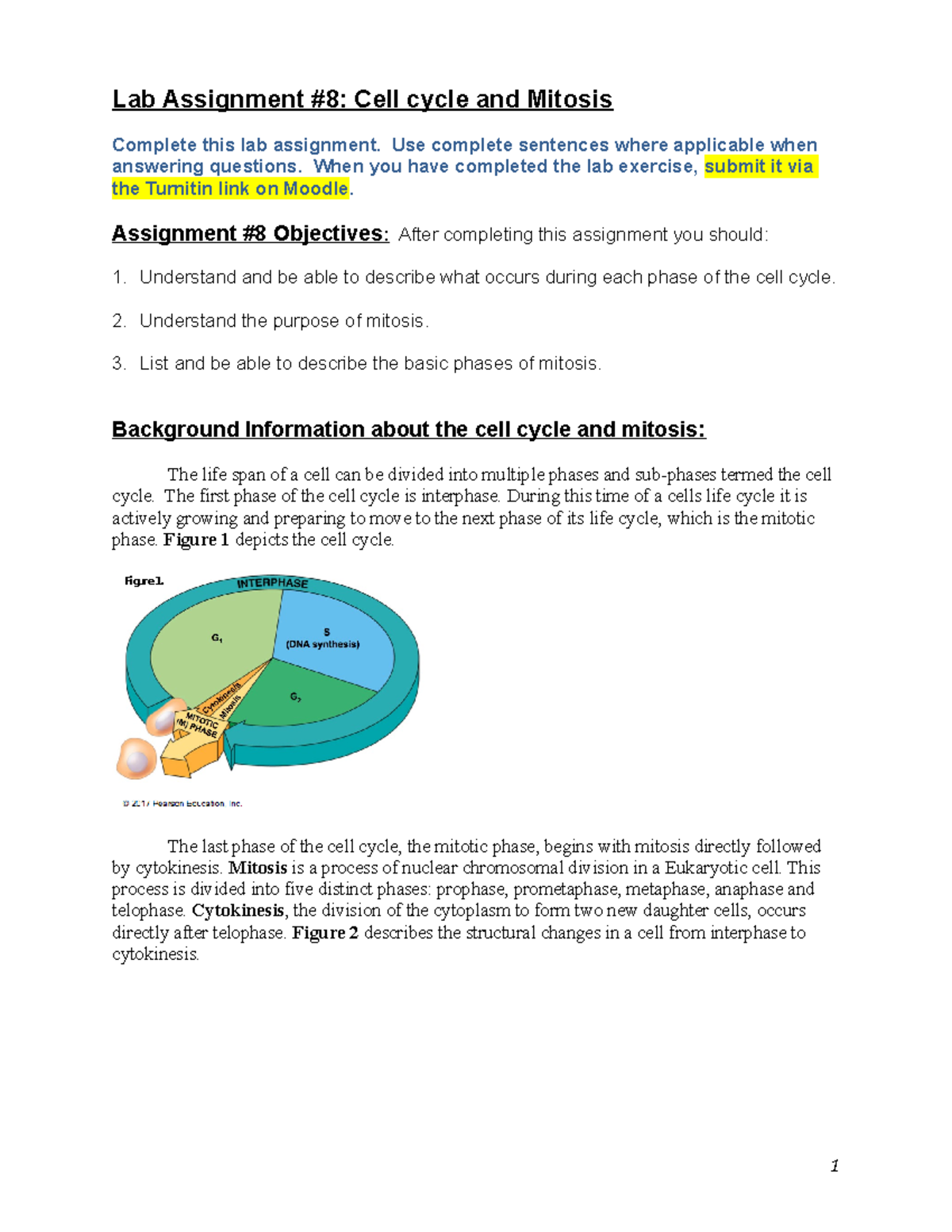 Lab Assignment #8-Mitosis-4 - Lab Assignment #8: Cell cycle and Mitosis ...