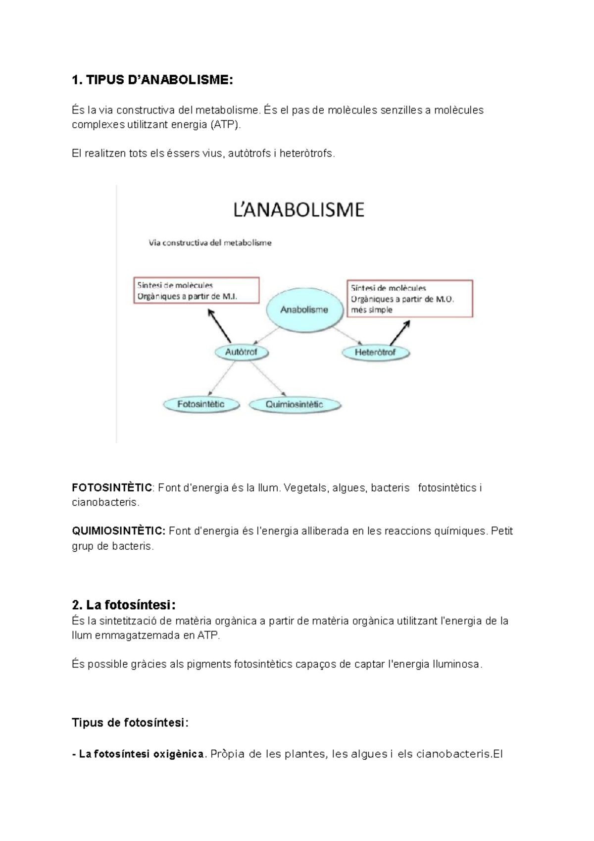 UD 11 Anabolisme - 1. TIPUS D’ANABOLISME: És la via constructiva del ...