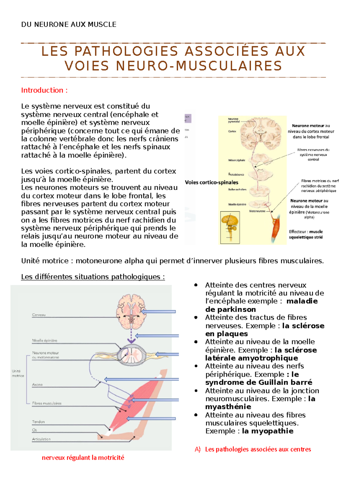 L ES Pathologies AssociéES AUX Voies Neuro - L E S PAT H O LO G I E S A ...