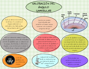 TEMA muscular - 1 TEMA 3: “EL SISTEMA MUSCULAR” 3 CONCEPTO Y ...