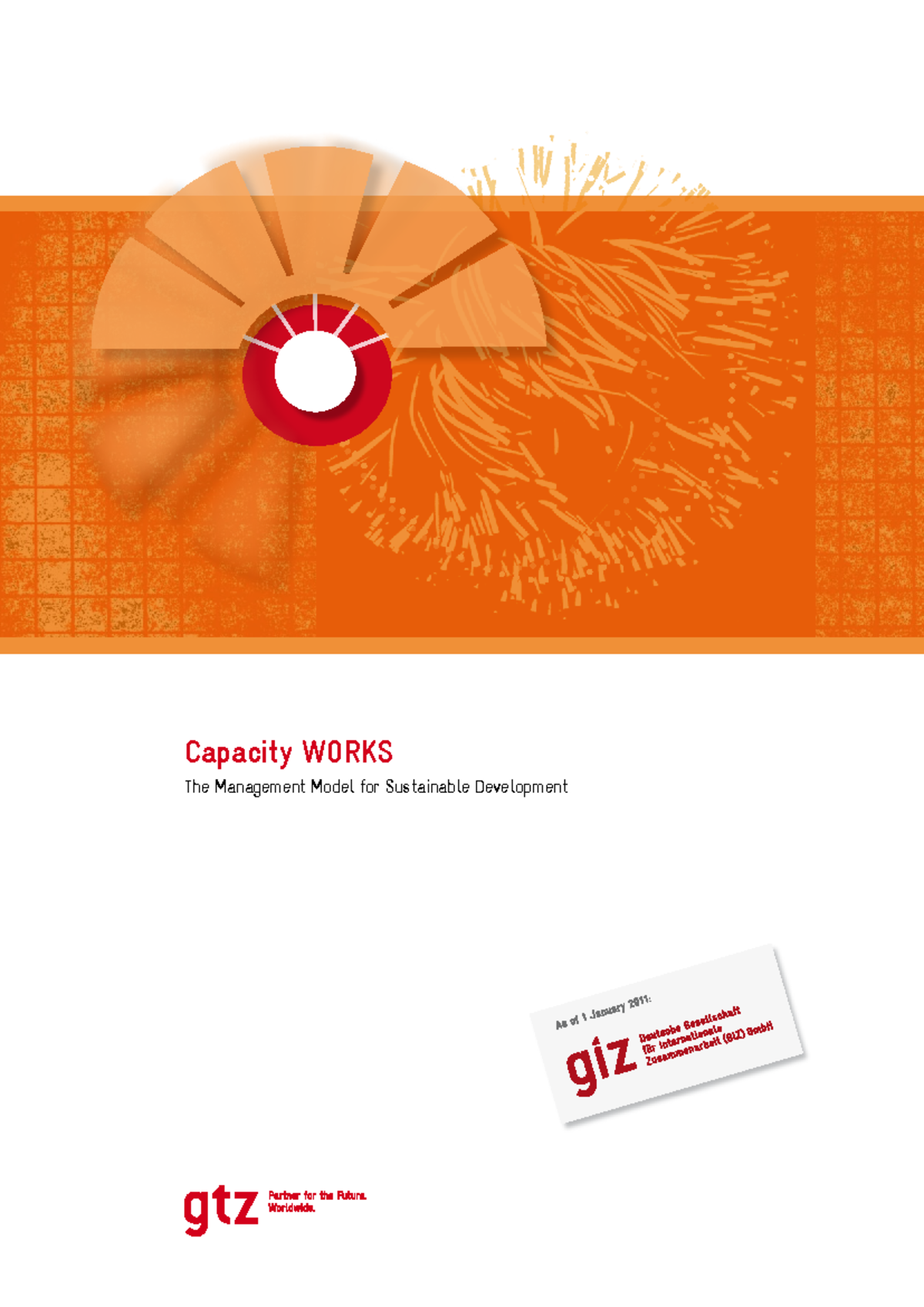 GIZ 2009 capacity-works-manual - Capacity WORKS The Management Model ...