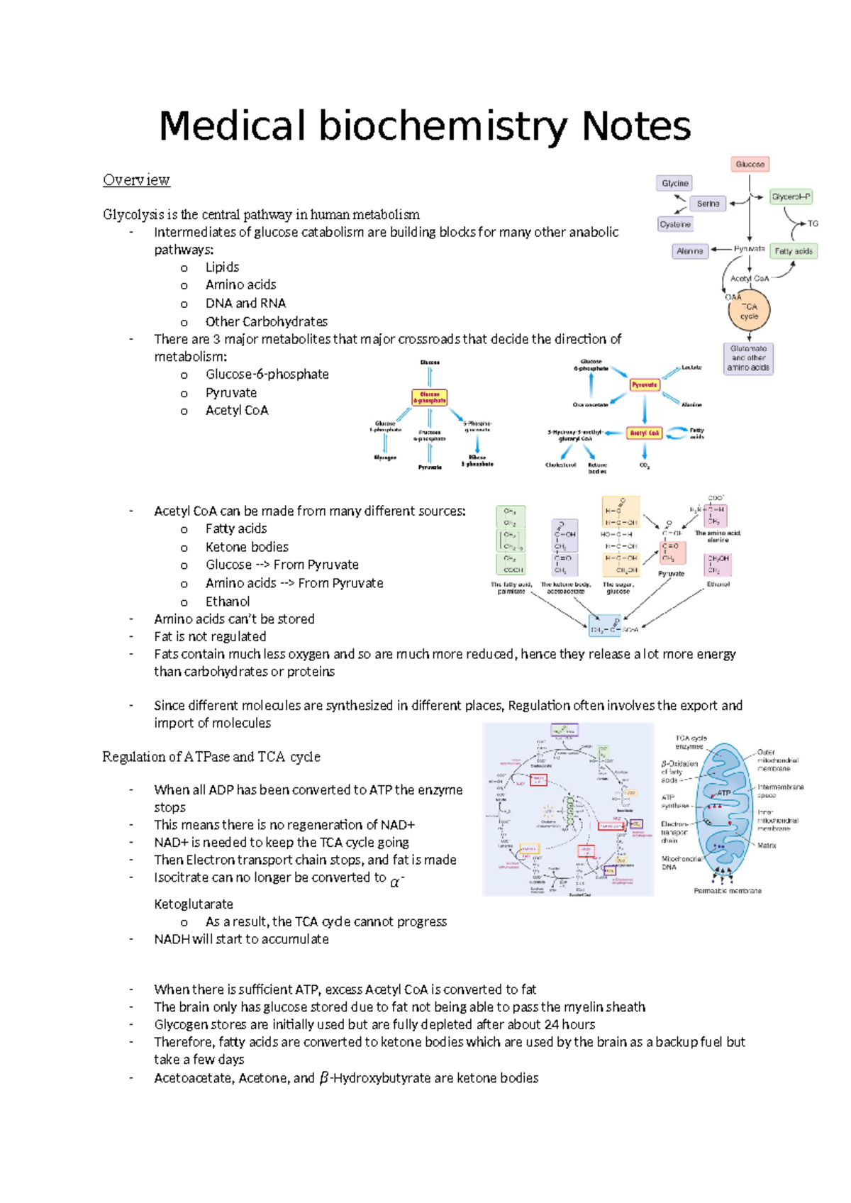 Medical Biochemistry Notes copy - Medical biochemistry Notes Overview ...