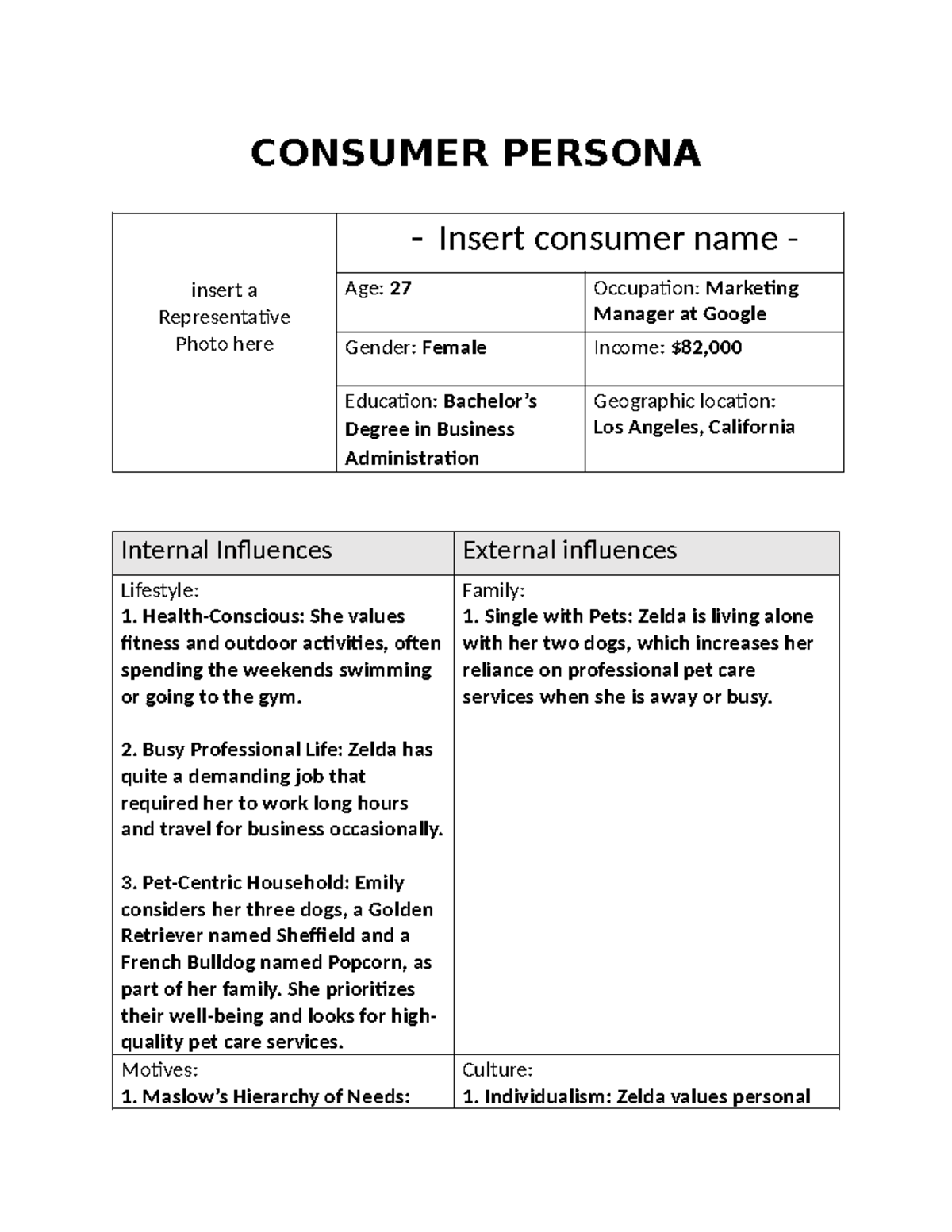 Consumer Persona Template - CONSUMER PERSONA insert a Representative ...