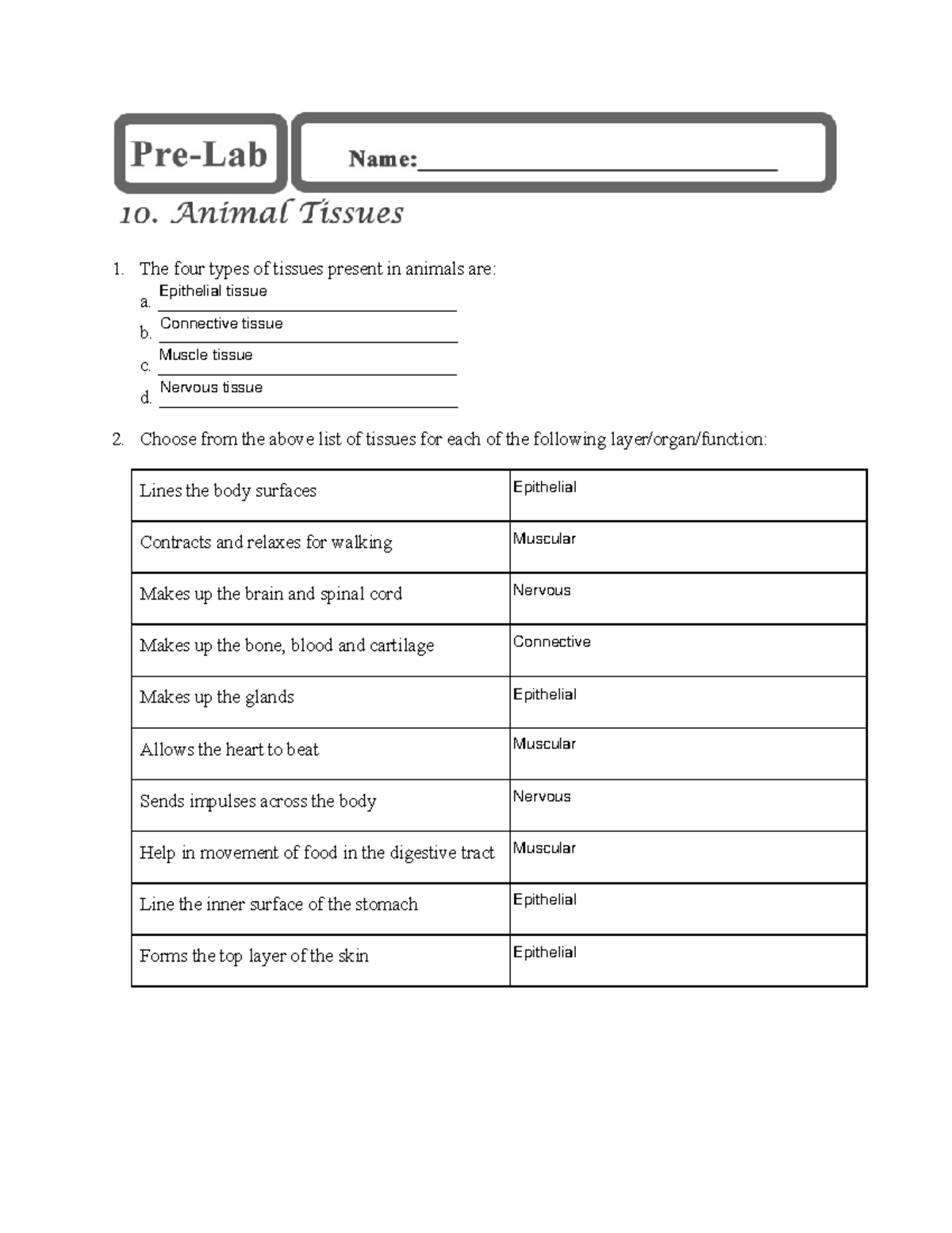Lab 10 - biol lab notes - 1. The four types of tissues present in ...