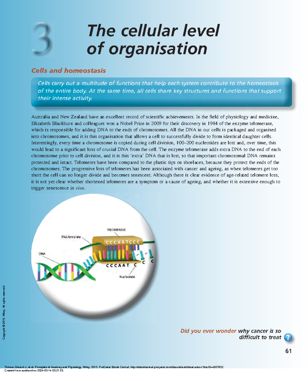 Principles of Anatomy and Physiology - (3 The cellular level of ...