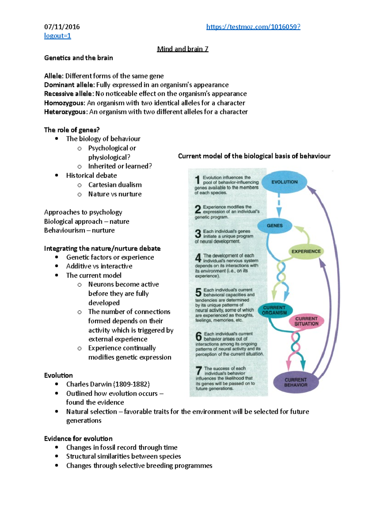 Mind and brain 7 - Lecture notes 7 - logout= Mind and brain 7 Genetics ...
