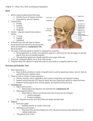 eScience Lab 6: Diffusion - Pre-Lab Questions A concentration gradient ...