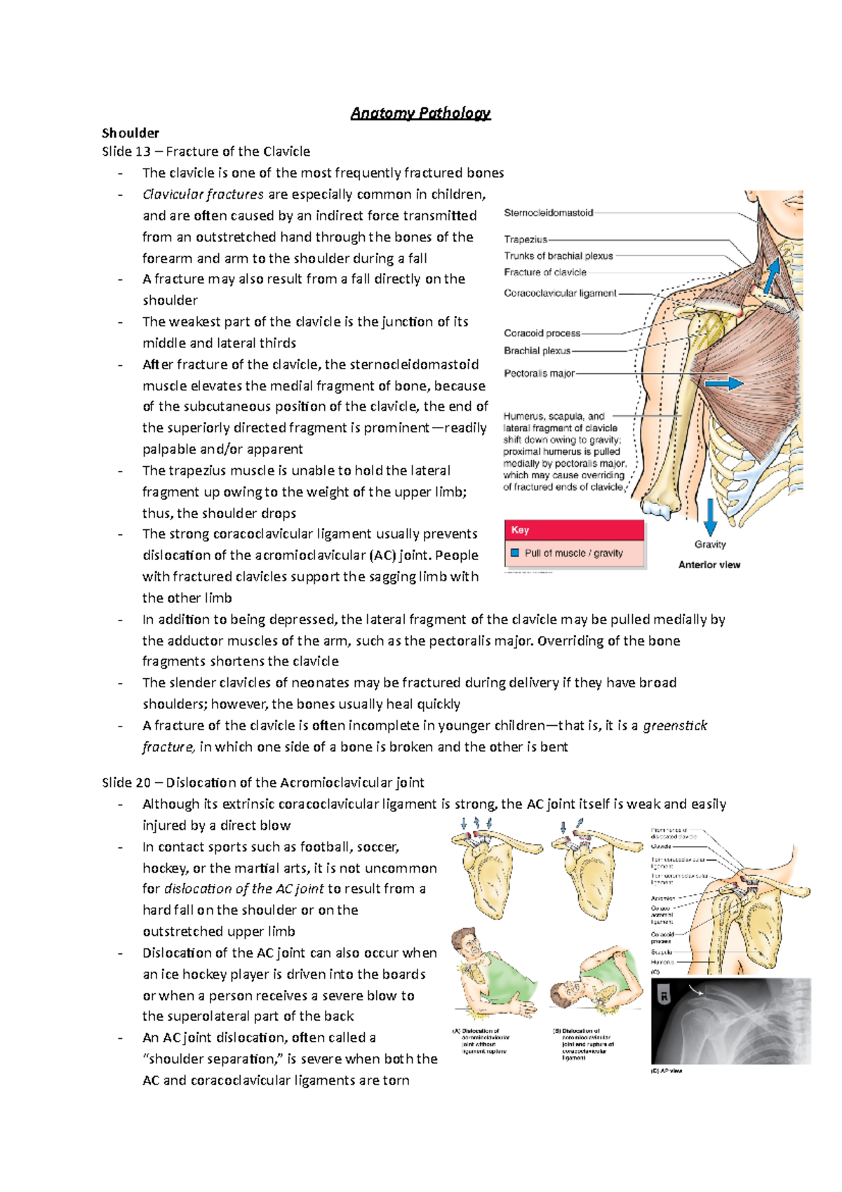 Anatomy Pathology - Anatomy Pathology Shoulder Slide 13 – Fracture of ...
