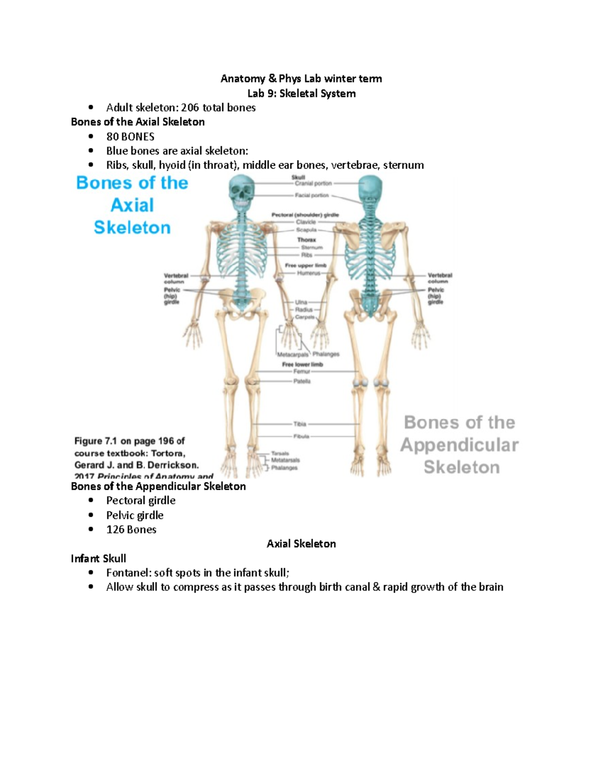 Anatomy & Phys Winter Lab - Anatomy & Phys Lab winter term Lab 9 ...