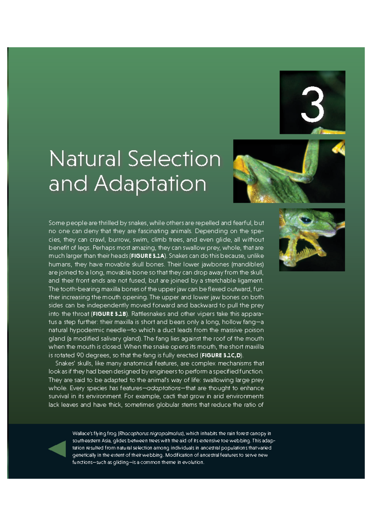 Futuyma + Kirkpatrick Ch3-notes - Some people are thrilled by snakes ...