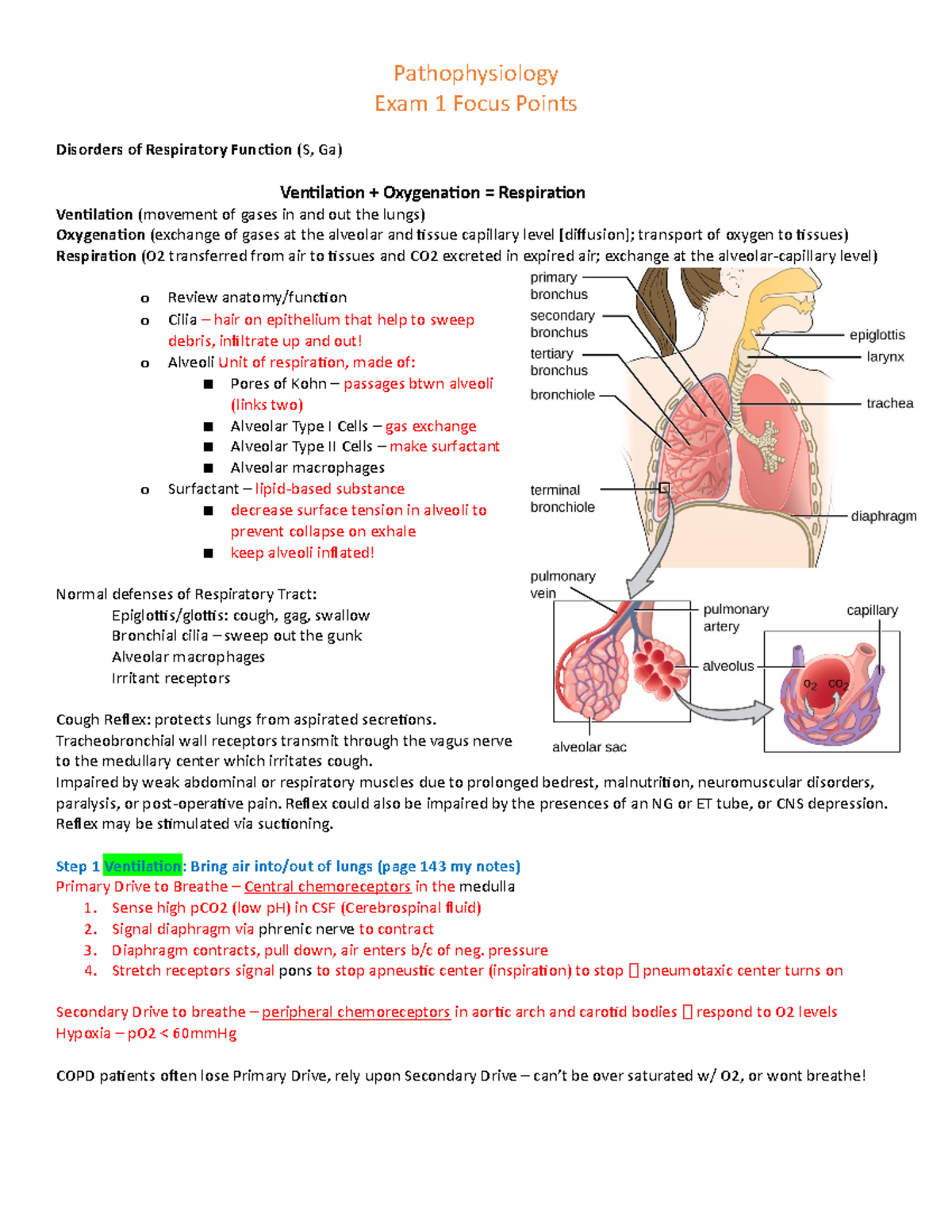 Patho Exam 1 Focus Points - Pathophysiology Exam 1 Focus Points Disorders of Respiratory ...