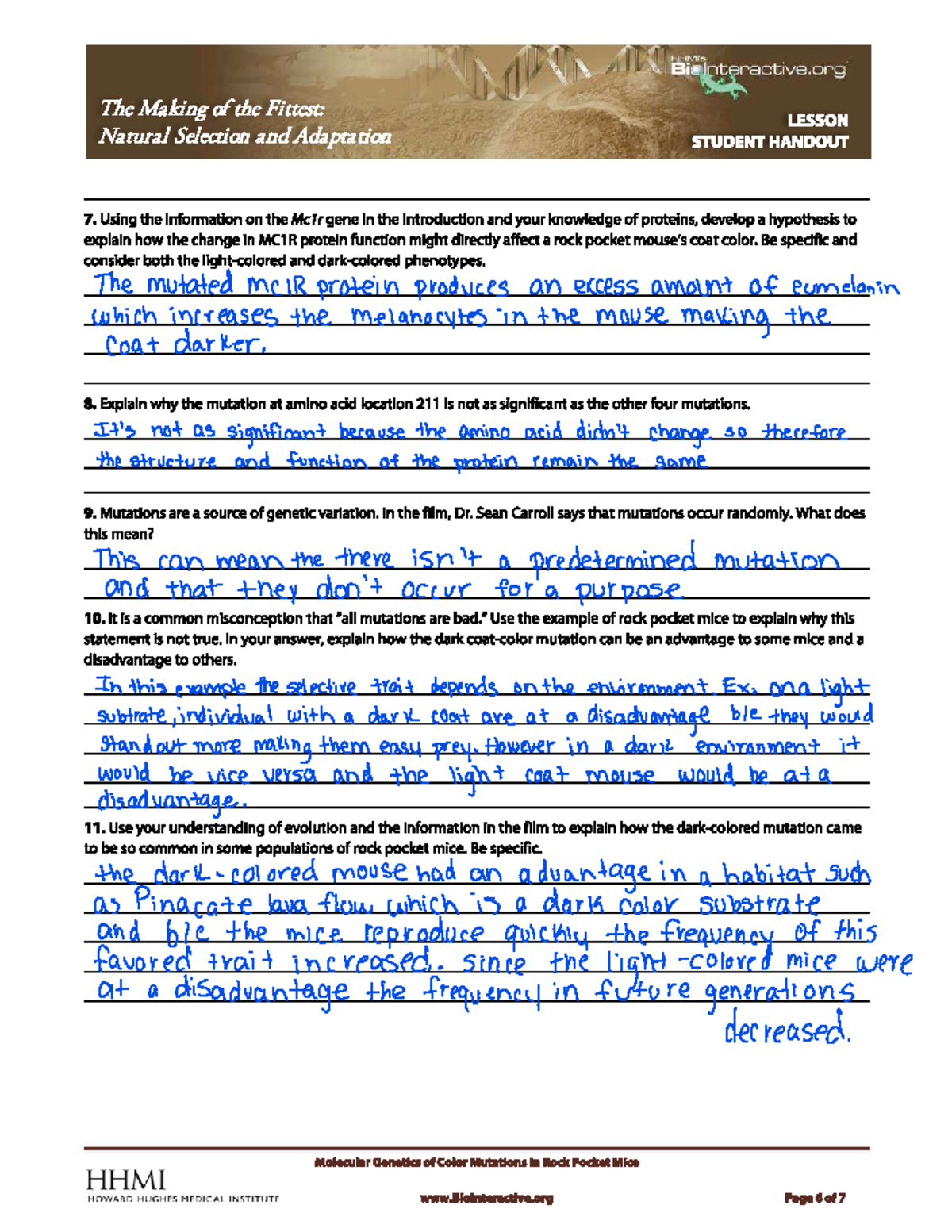 Assignment 1 Part 3 - The Making of the Fittest: 2 Natural Selection ...