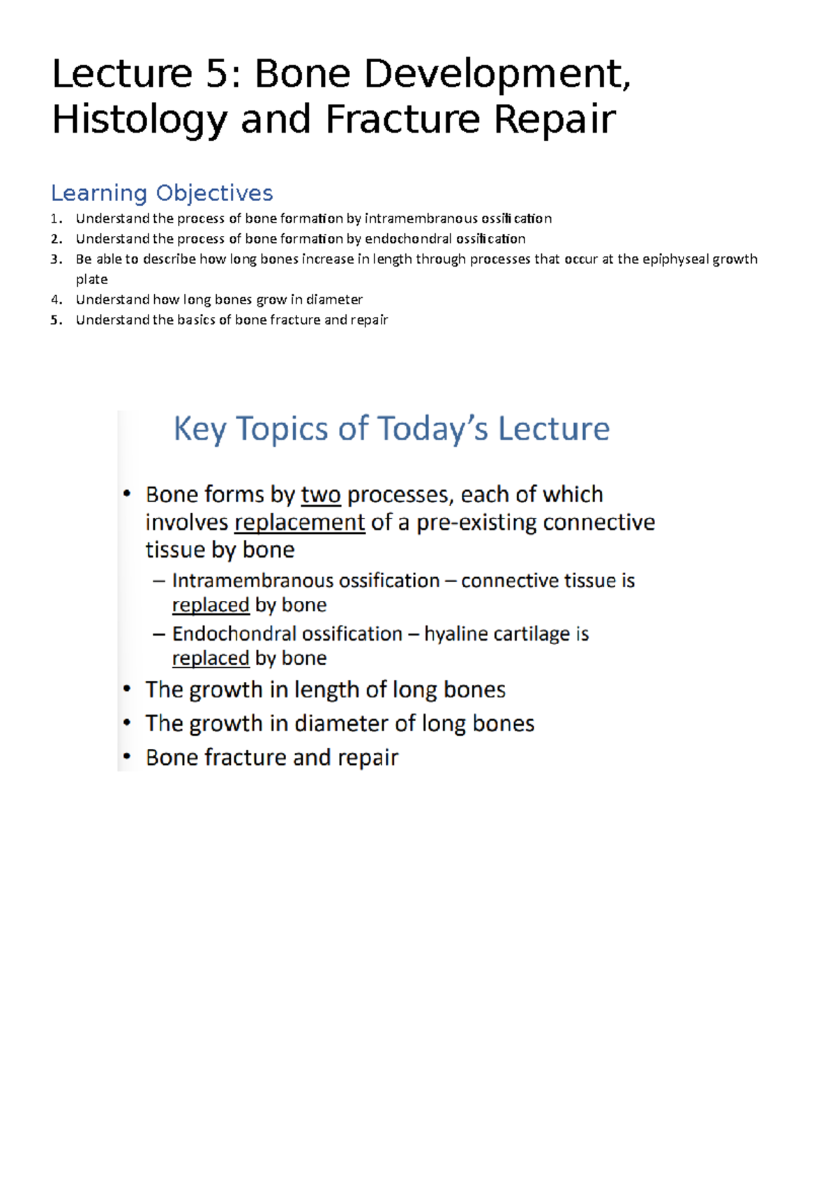 Lecture 5 - Bone Development, Histology and Fracture Repair - Lecture 5 ...