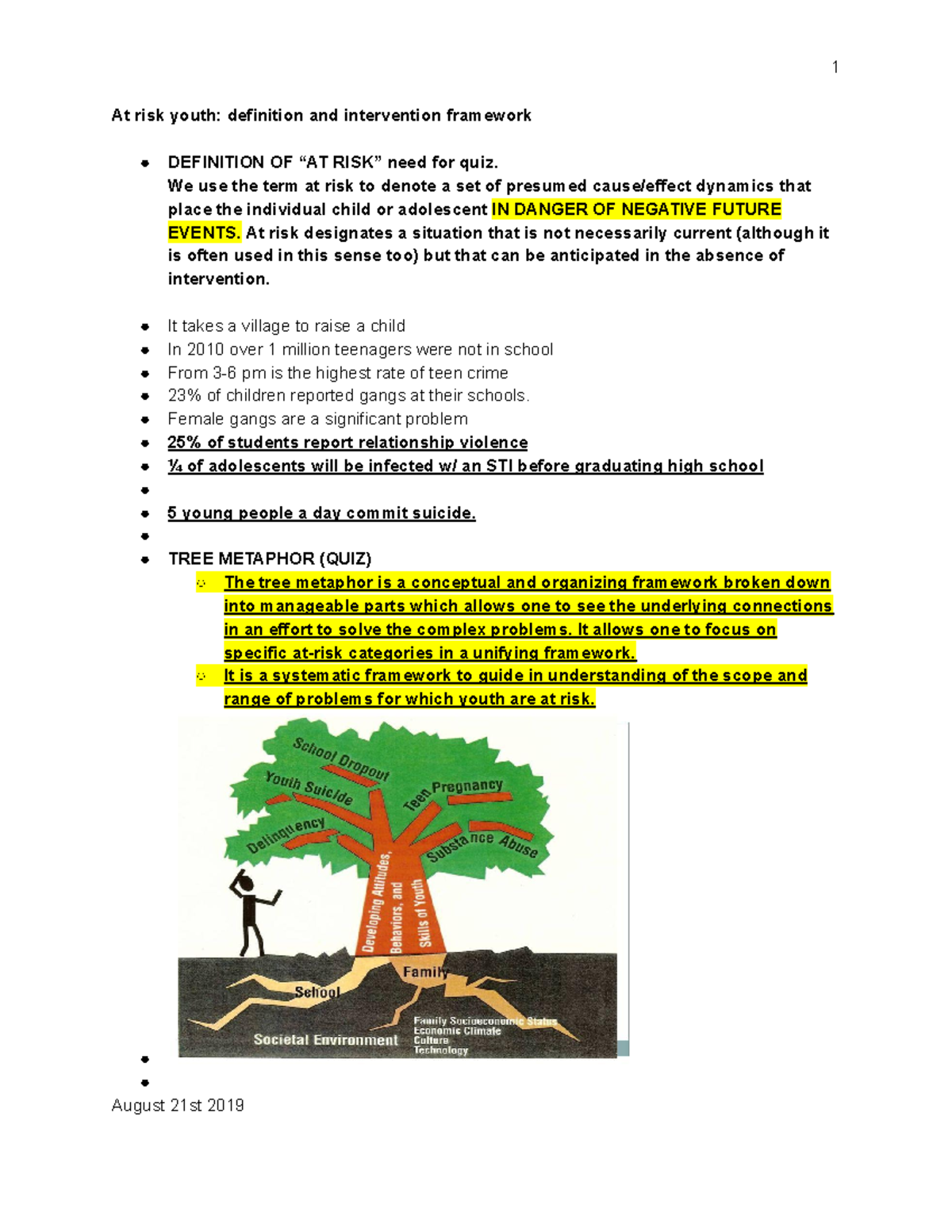 Working w youth - Lecture notes 1-5 - At risk youth: definition and ...