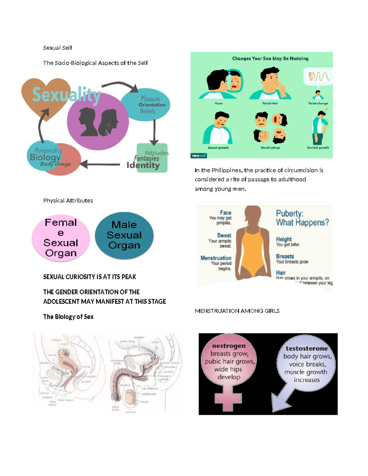 Sexual-self - Sexual Self The Socio-Biological Aspects of the Self ...