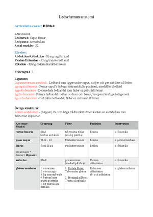 Anatomi II - Alla muskler, leder och skelettdelar - Anatomi II Nedre ...