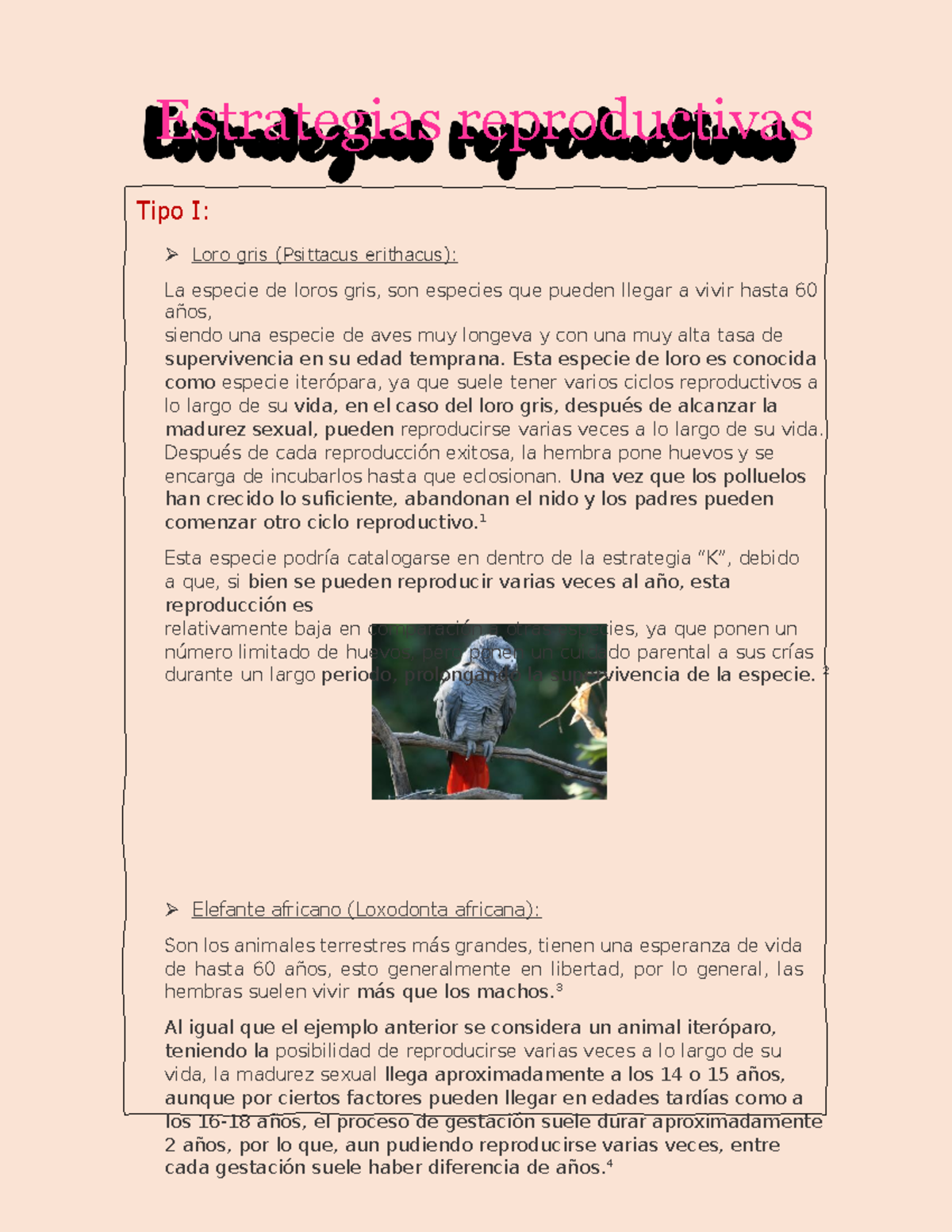 Estrategias reproductivas 1 - Estrategias reproductivas Tipo I: Loro gris (Psittacus erithacus ...