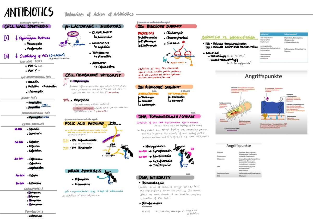 Antibiotics_Mechanisms of Action - Basics of Pharmacological Treatment ...