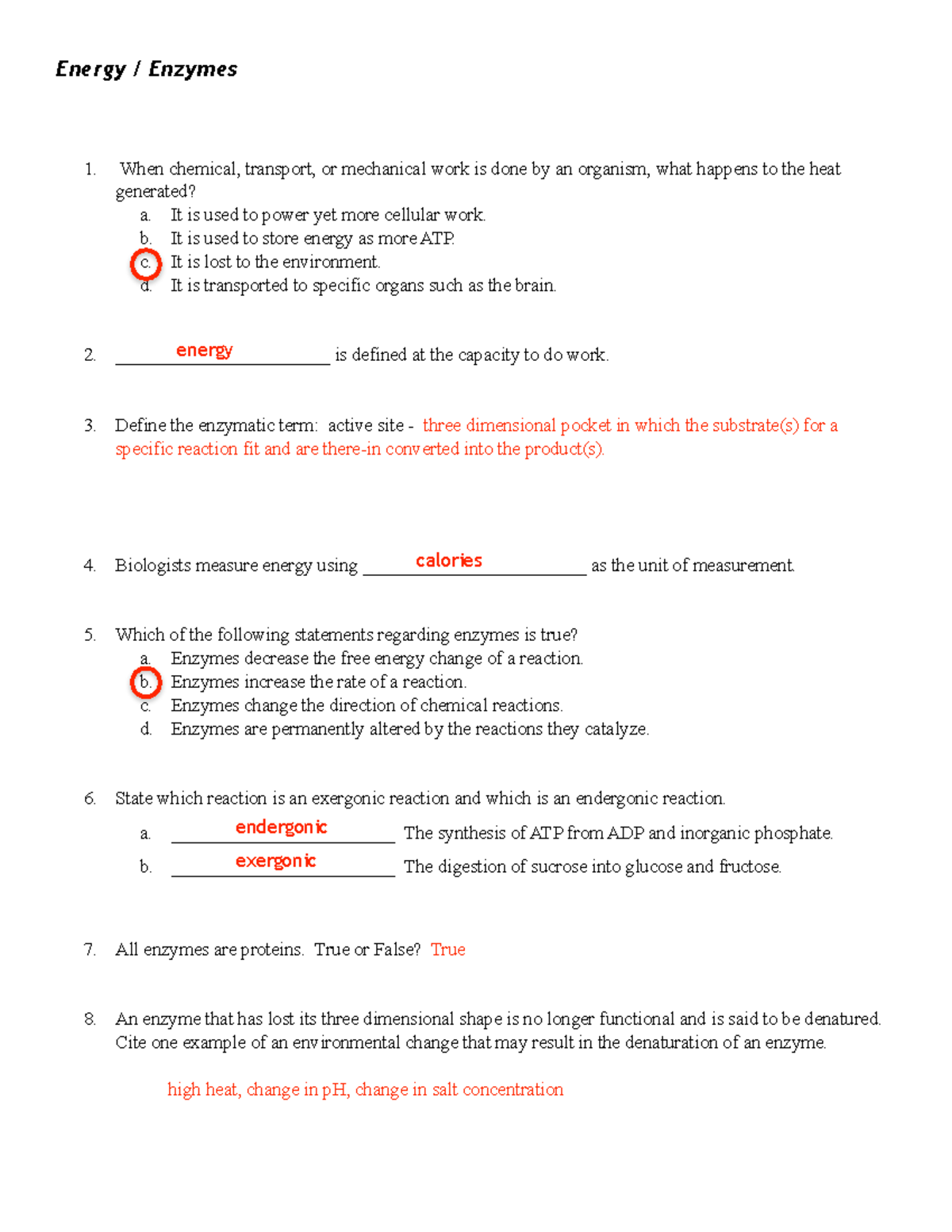 Energy + Enzymes - Practice Answers - Energy / Enzymes When chemical ...