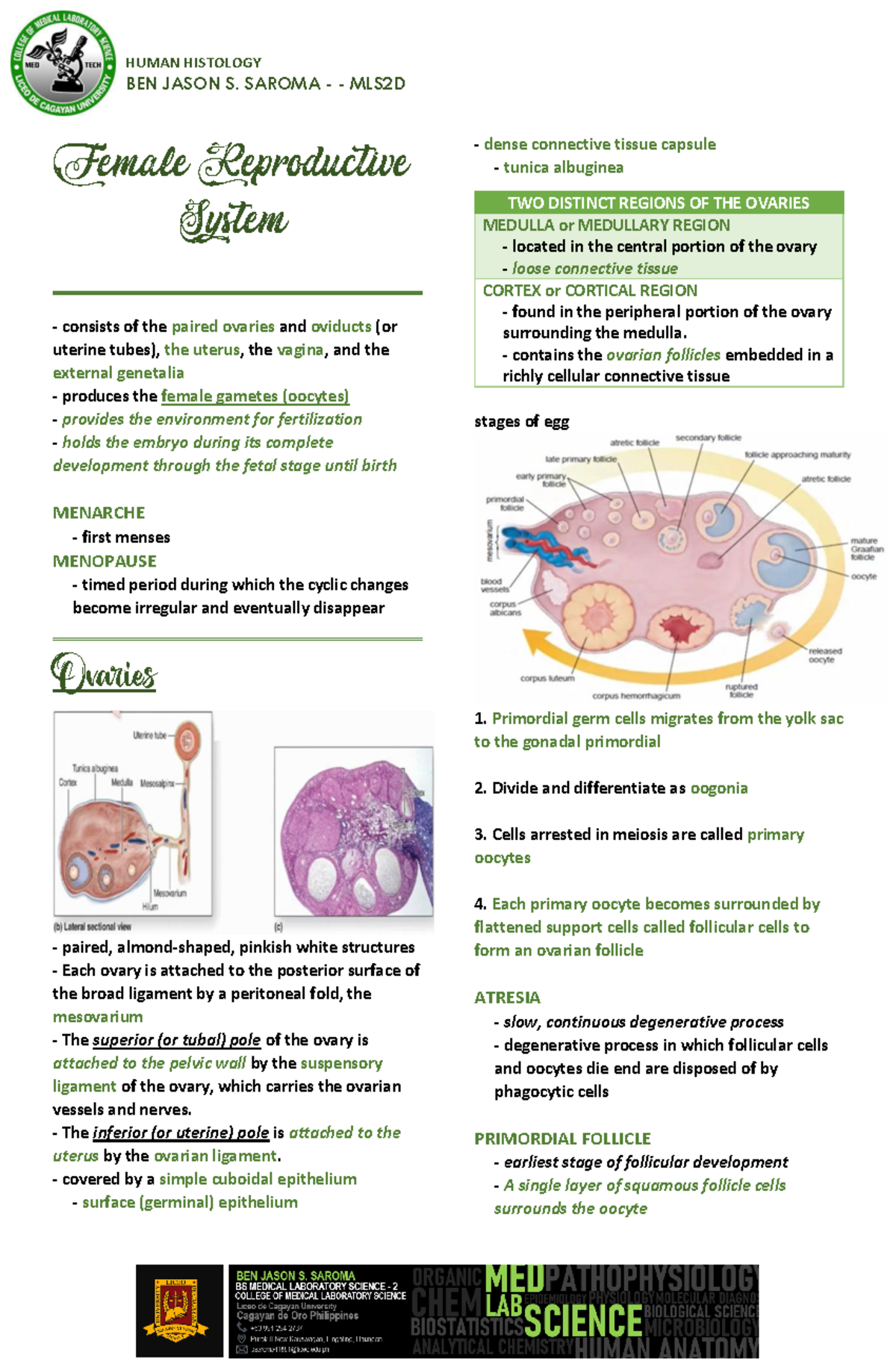 Female- Reproductive- System Discussion-NI-MAAM -ayaw-ikalat-kay ...