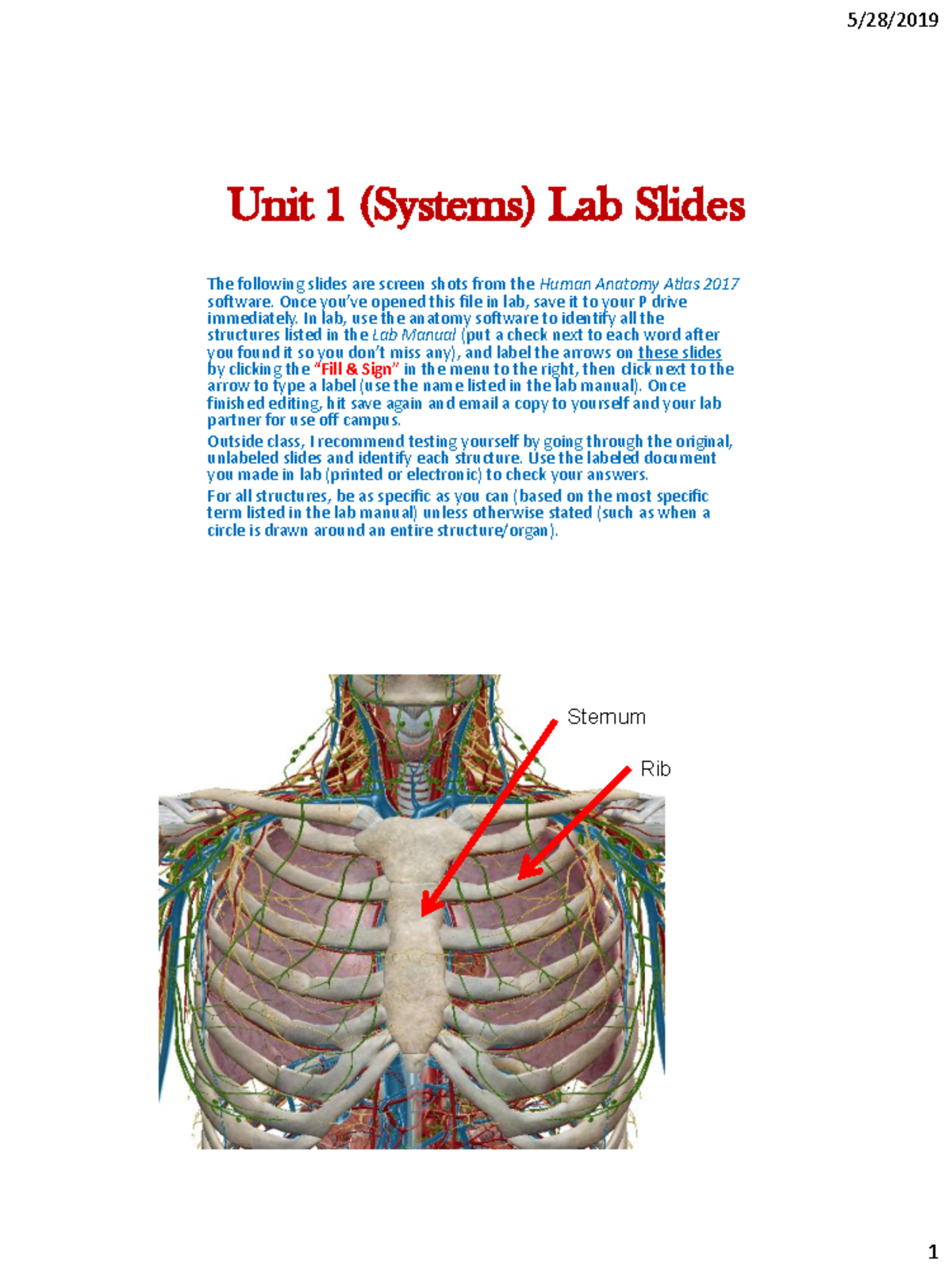 Unit 1 LAB Screenshots-2 - The following slides are screen shots from the software. Once you’ve ...