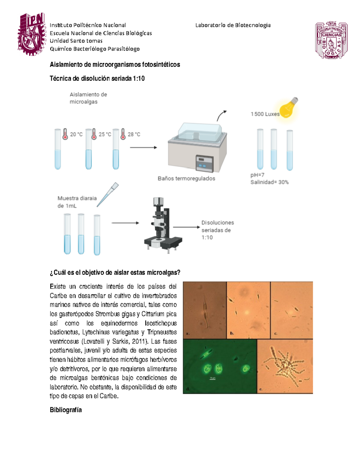 Aislamiento de microalgas - Insituto Politécnico Nacional Laboratorio ...