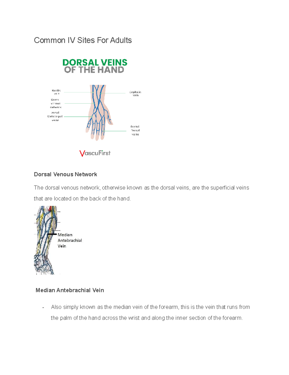Common- Sites - ivt - Common IV Sites For Adults Dorsal Venous Network ...
