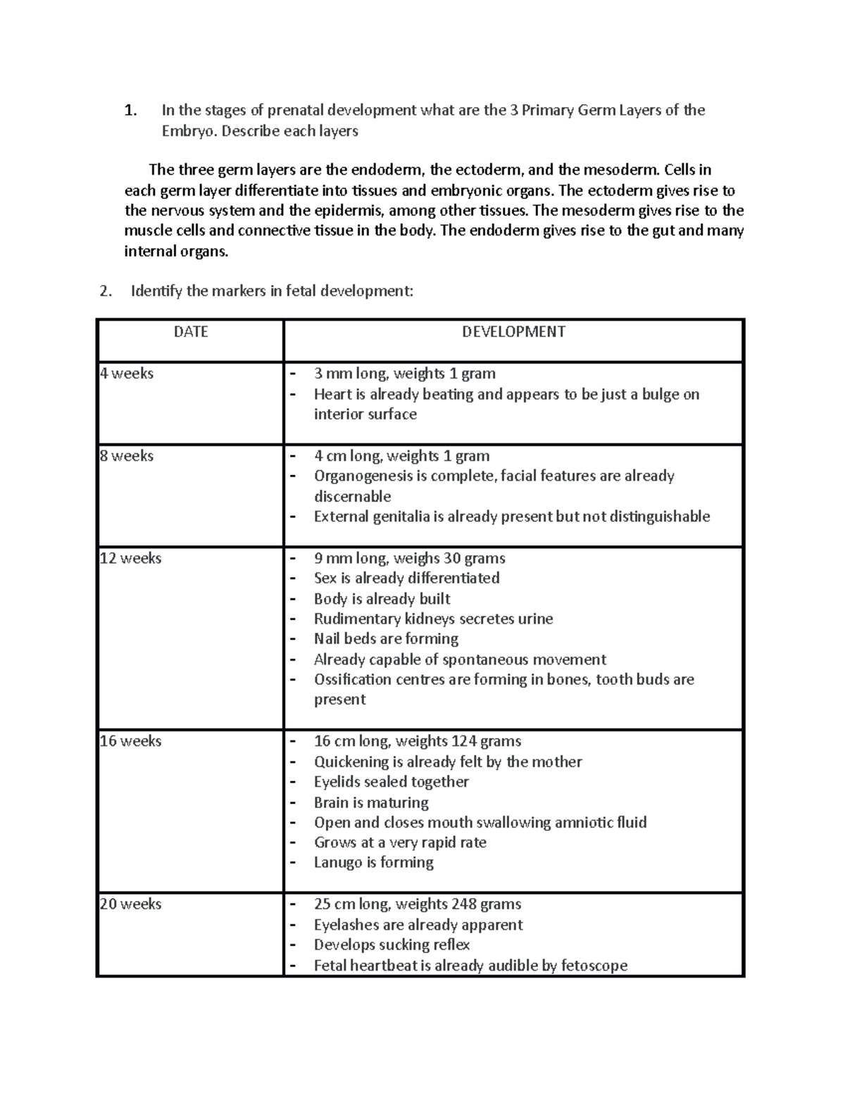 Maternal and Child Nursing Assignment 2 - In the stages of prenatal ...