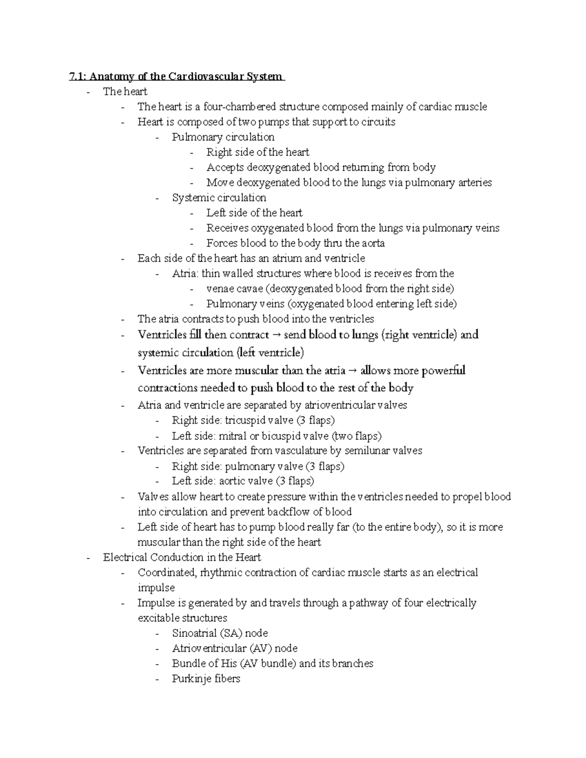 Chapter 7 The Cardiovascular System - 7: Anatomy of the Cardiovascular ...