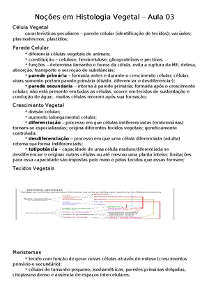 Aula 10 Flor Verticilos Estéreis - Flor – Verticilos Estéreis – Aula 10 ...