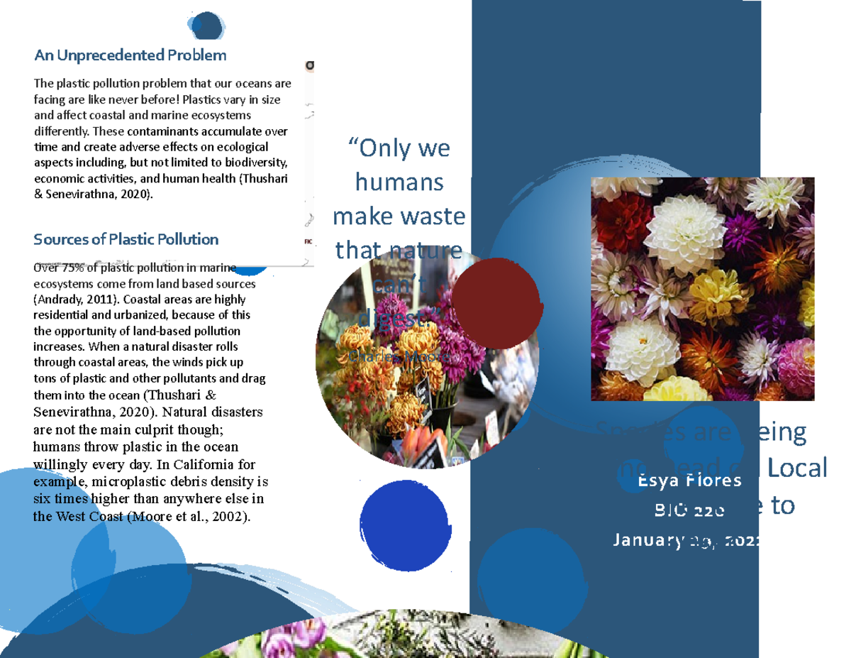 Pamphlet BIO220 - Esya Flores BIO 220 January 29, 2022 Sources of ...