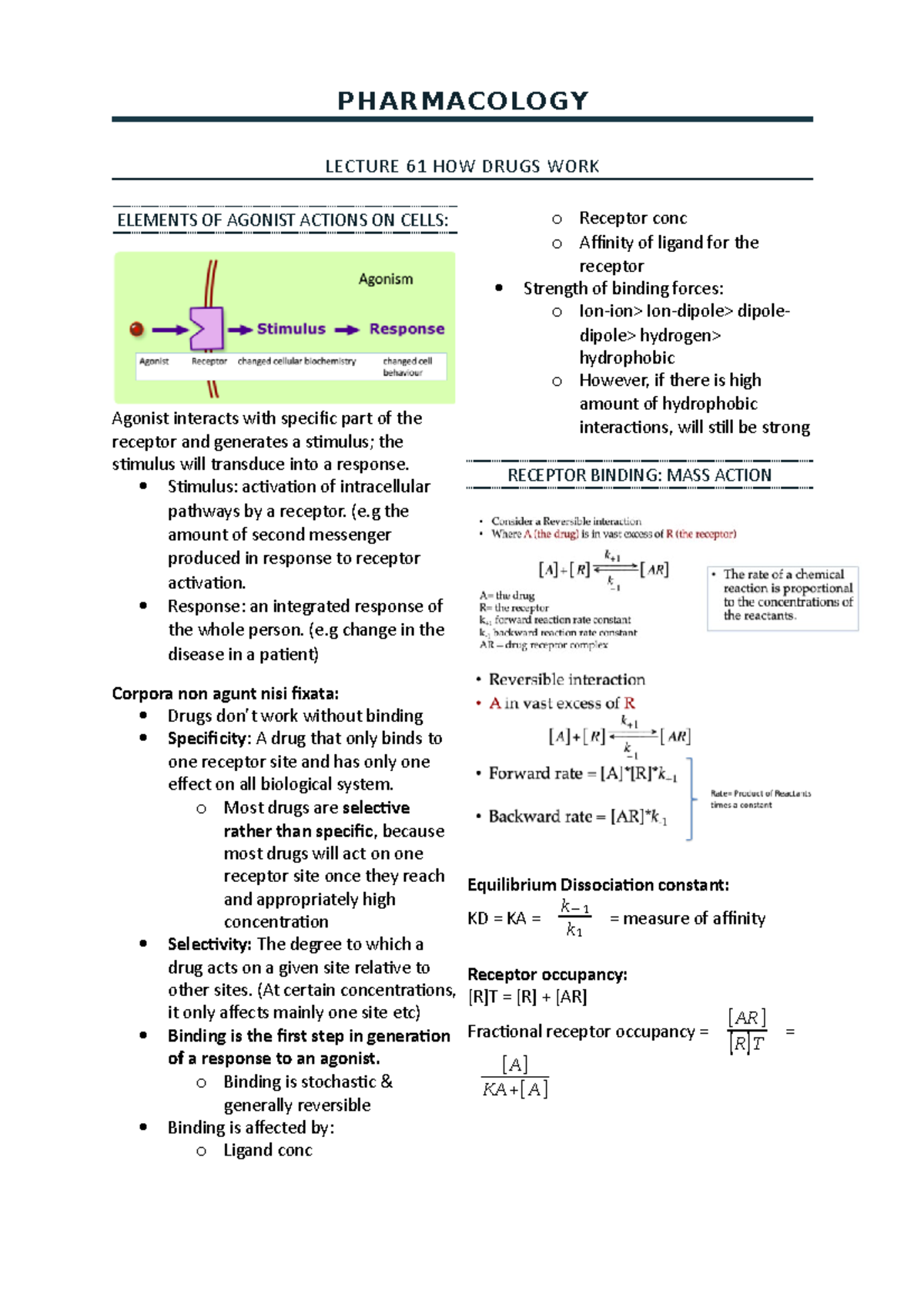 Pharmacology Summary - PHARMACOLOGY LECTURE 61 HOW DRUGS WORK ELEMENTS ...