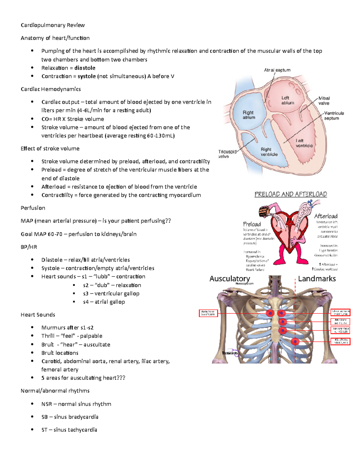2239 Cardiopulmonary Review - Cardiopulmonary Review Anatomy of heart ...