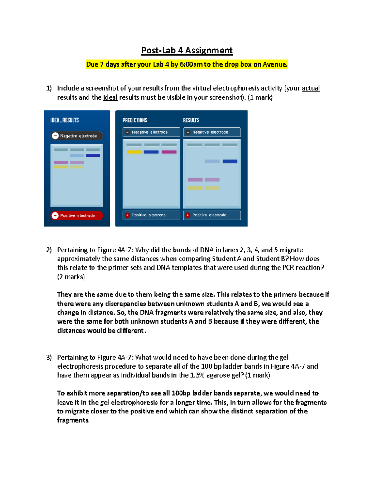 Post-Lab 4 Assignment W2023 (1) - Post-Lab 4 Assignment Due 7 days after your Lab 4 by 6:00am to ...