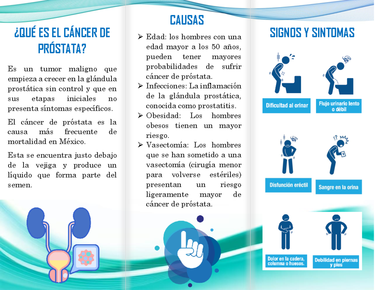 Triplico de Cáncer de Próstata - ¿QUÉ ES EL CÁNCER DE PRÓSTATA? Es un ...
